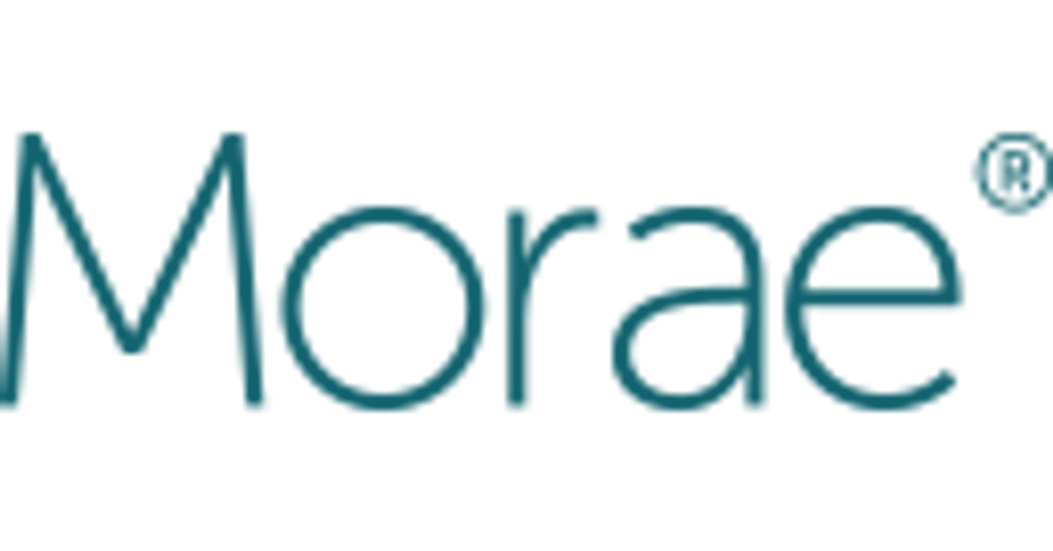 Morae - TECHSMITH - Rubinetti Informatika Kft.